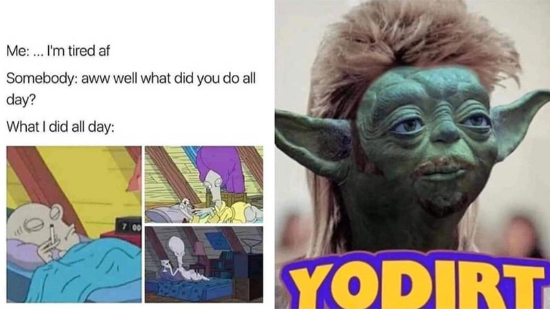 The Best Memes That Made It Past Our Weekly 'Meme Checkpoint' Facebook ...