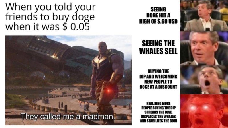 Prepare For 'The Dogefather's' SNL Appearance With These 20 New ...