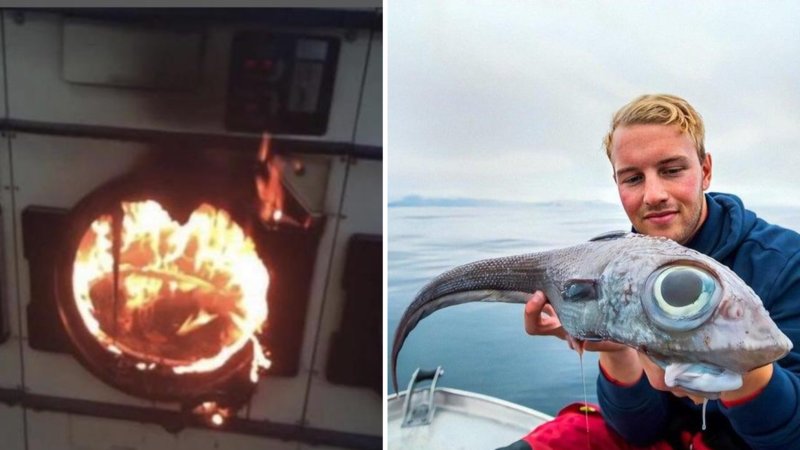 15 Cursed Images You Definitely Didn't Ask For | Know Your Meme