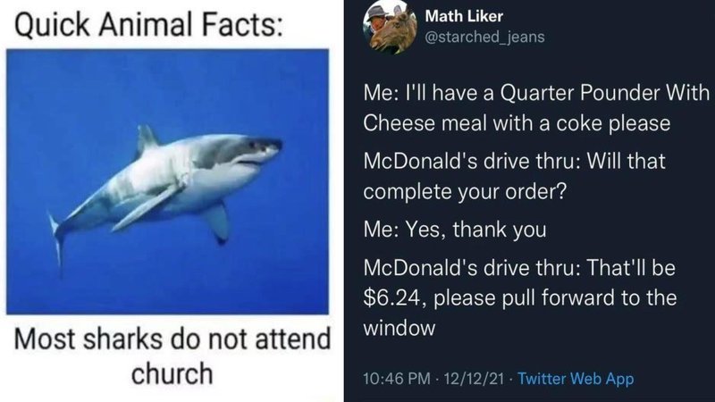 10 Images That Are Not Interesting, But They're Still Incredibly ...