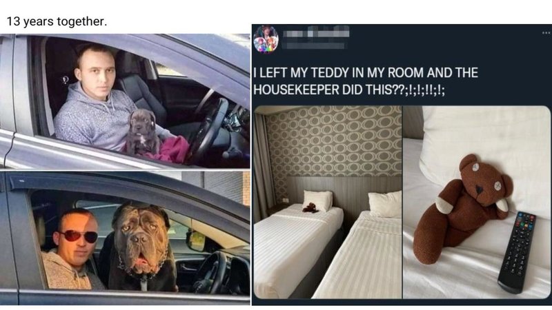 14 Images Full Of Positive Energy From Reddit's 'Made Me Smile' | Know ...