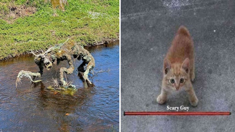 25 'Boss Fights' No One Is Truly Prepared For | Know Your Meme