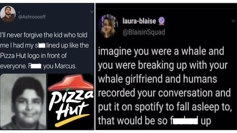 25 Oddly Specific Statements We Didn't Think We'd Read Today | Know Your Meme