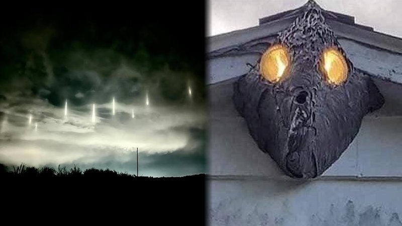 21 Unexplainably Bizarre Photographs That Send Chills Down Your Spine ...