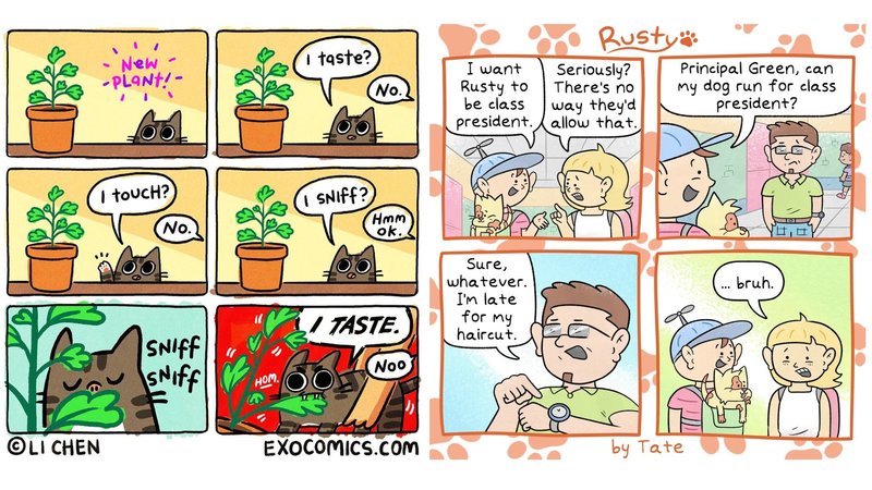 21 Comedic Webcomics Perfectly Reflecting Life and Viral Topics | Know ...