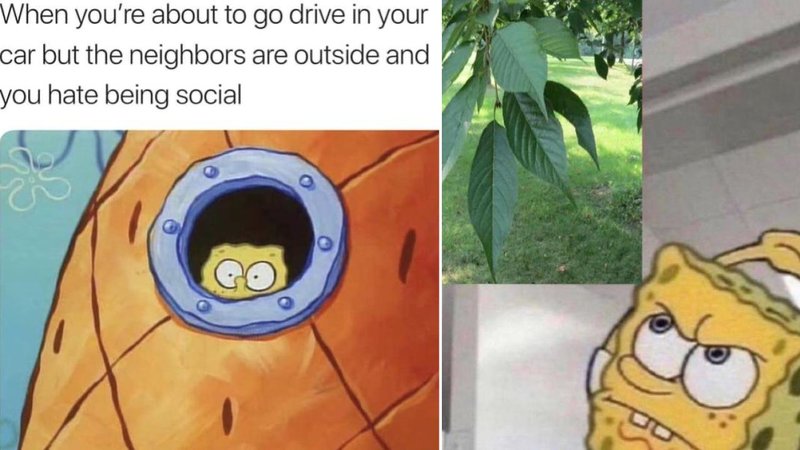 Revisit Bikini Bottom Through Relatable SpongeBob Memes | Know Your Meme