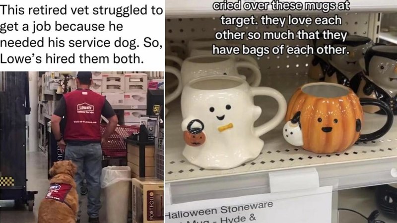 25 Photos That Made People Smile Today | Know Your Meme
