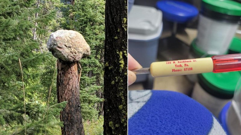 25 More Small, Yet Interesting Moments In Life | Know Your Meme