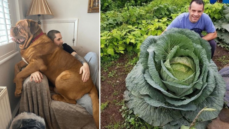 These Things Grew To Be Shockingly Large | Know Your Meme