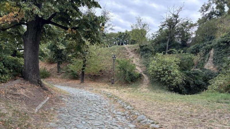 25 Alternate Paths Made By Human Desire | Know Your Meme