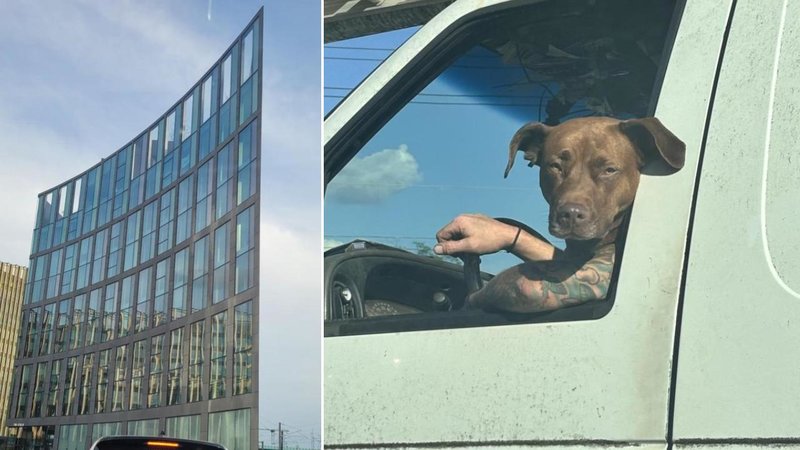 27 Captivating Photos Taken From Odd Angles | Know Your Meme