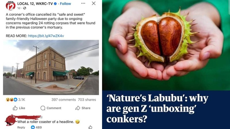 These 25 Bizarre Sentences Might Be Brand-New | Know Your Meme