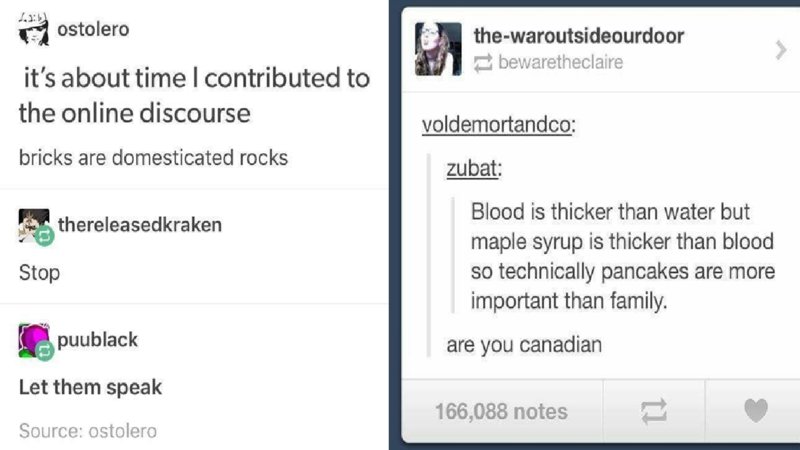 25 Unhinged And Hilarious Tumblr Posts Good For The Soul | Know Your Meme