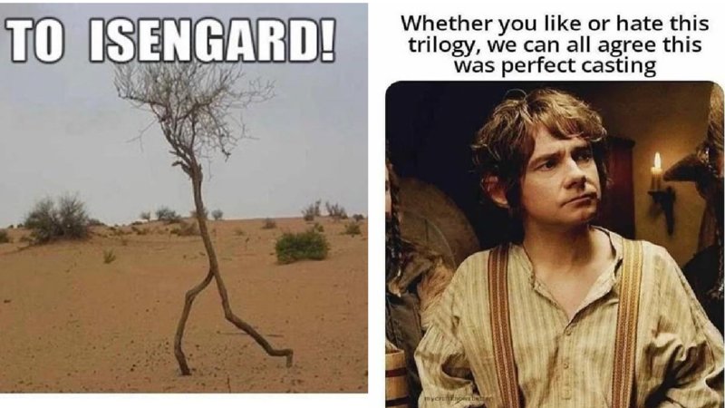 24 'Lord Of The Rings' Memes Chock-Full Of Middle-Earth Energy | Know ...