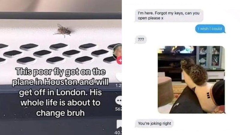 Connect With Others Via Relatable Memes | Know Your Meme