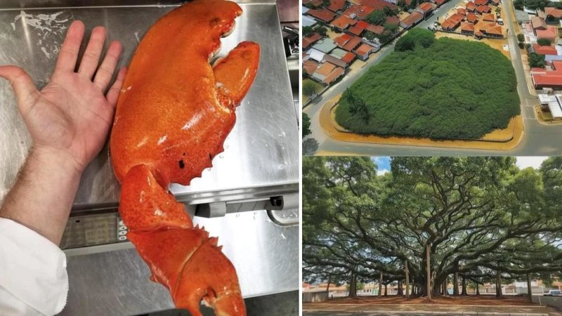 25 Absolute Units People Saw This Week | Know Your Meme