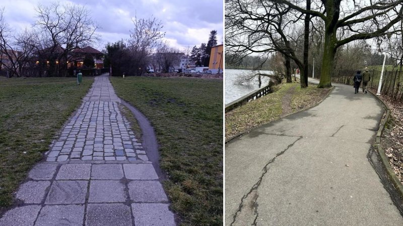 These Desire Paths Take The Scenic Route | Know Your Meme