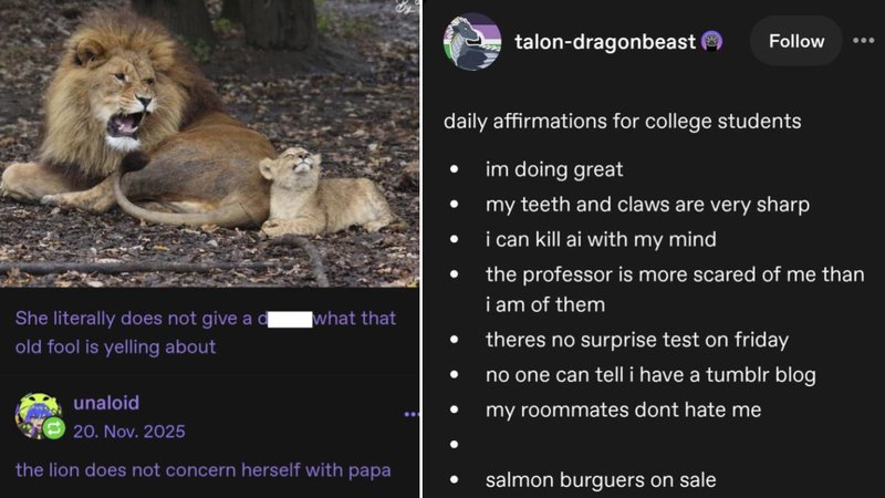 Enjoy Some Tumblr Posts And Memes Today | Know Your Meme