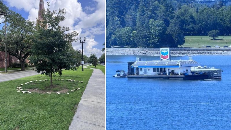 25 Small But Interesting Things Spotted In Real Life | Know Your Meme