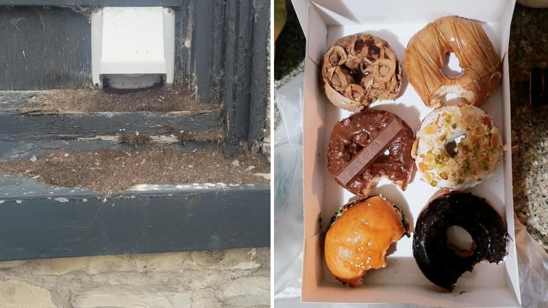 25 Mildly Infuriating Situations People Had To Go Through Recently ...