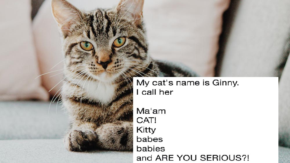 People on Twitter are Brilliantly Sharing "My Pet's Name Is..." | Know ...