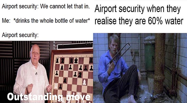 10+ 'Airport Security Vs. Water' Memes to Poke Fun At TSA's Fear Of ...