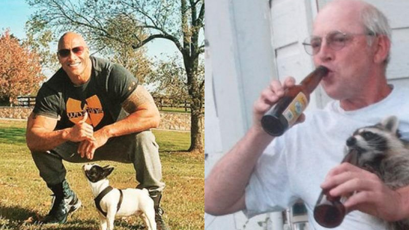 The Best "Dad and the Dog" Memes | Know Your Meme