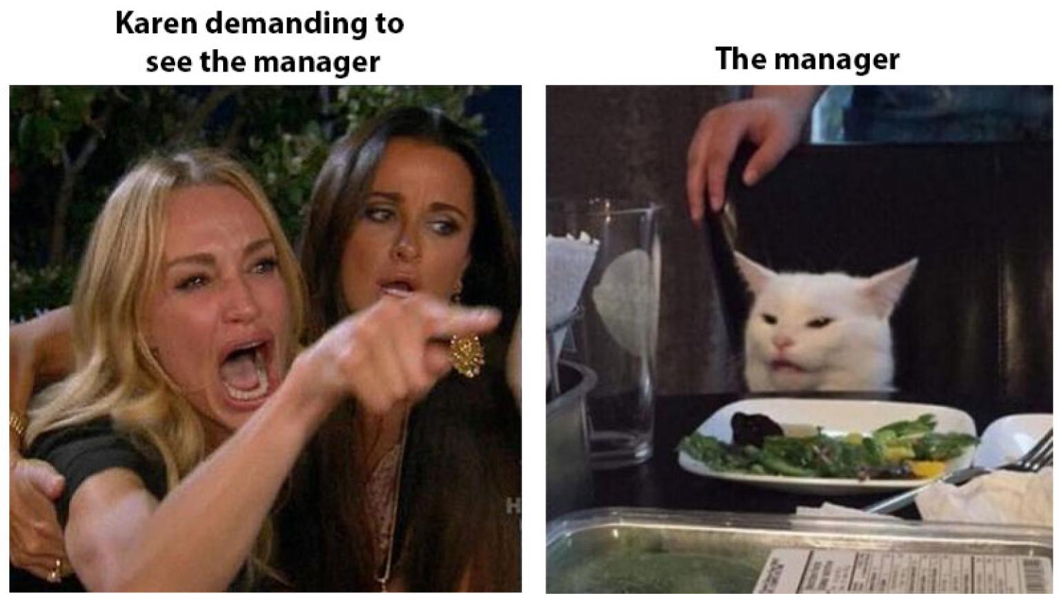 20 Of The All-Time Best 'Woman Yelling At A Cat' Memes | Know Your Meme