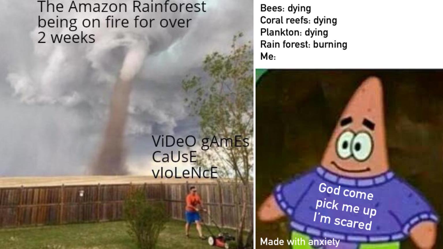 Internet Tries to Put Out The Amazon Rainforest Fire With Memes | Know ...