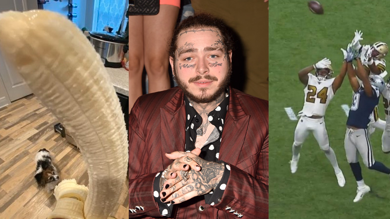 Memes of the Week: October 4th, 2019 | Know Your Meme