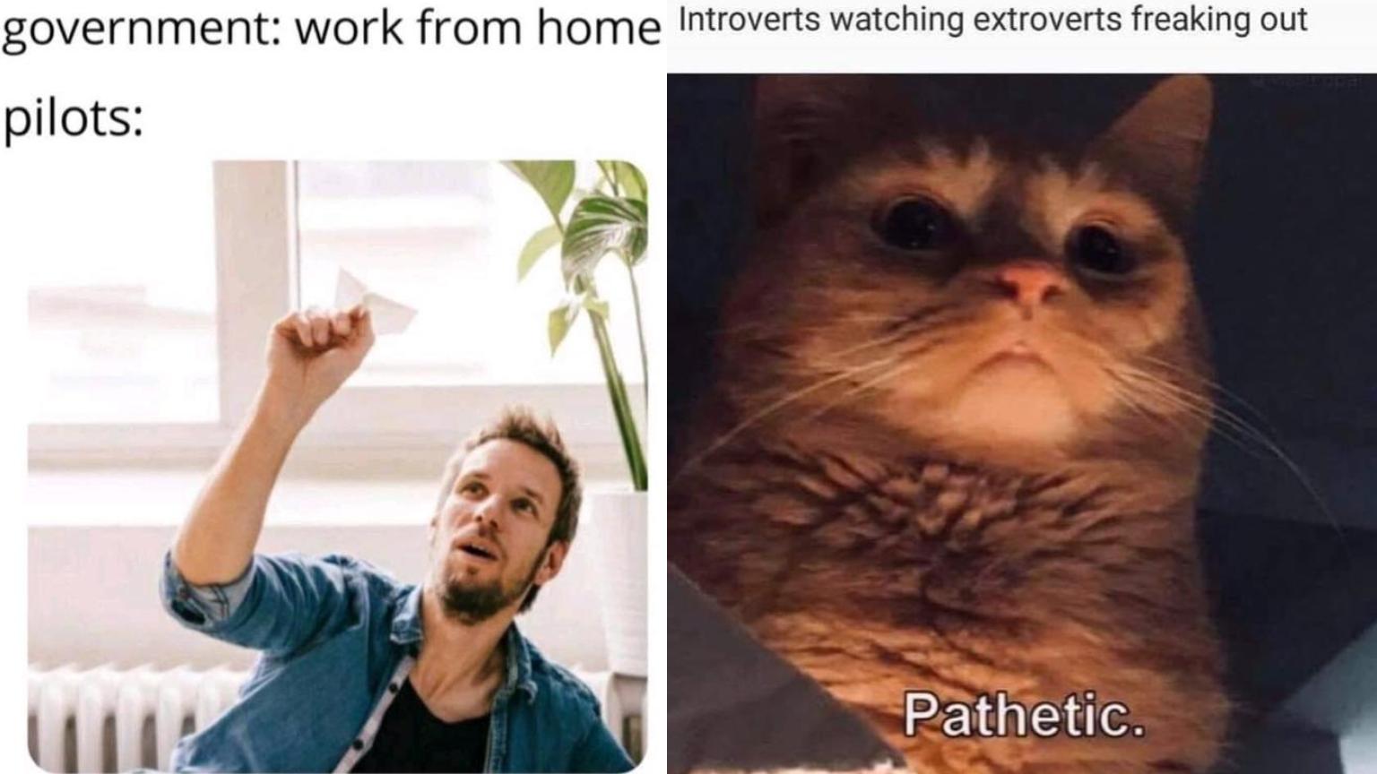 Some Of Our Favorite Memes From Our 'Meme Checkpoint' Facebook ...