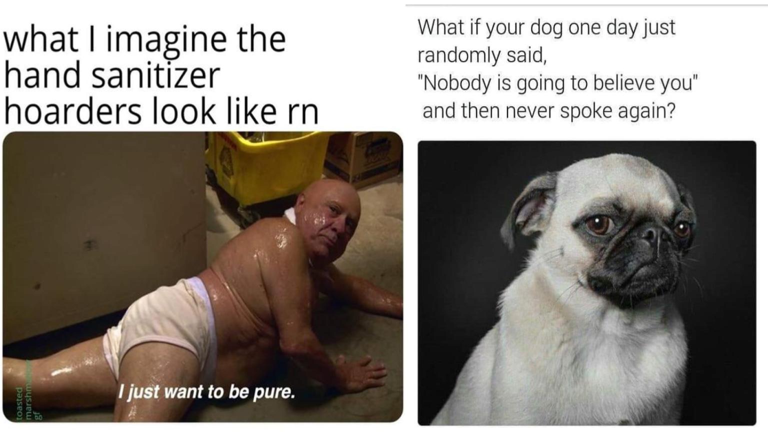 15 Of Our Favorite Memes Submitted By Our Fans | Know Your Meme