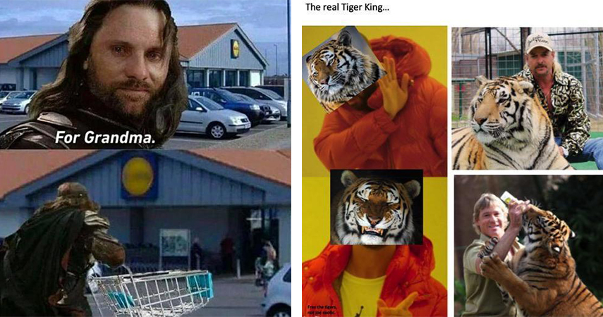 15 Memes To Make Your Day Brighter | Know Your Meme