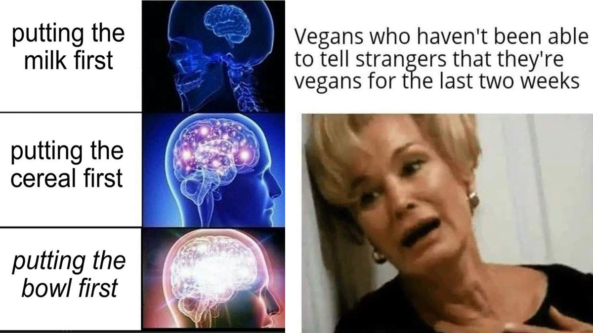 The Best Memes That Made It Past Our Weekly "Meme Checkpoint" Facebook ...