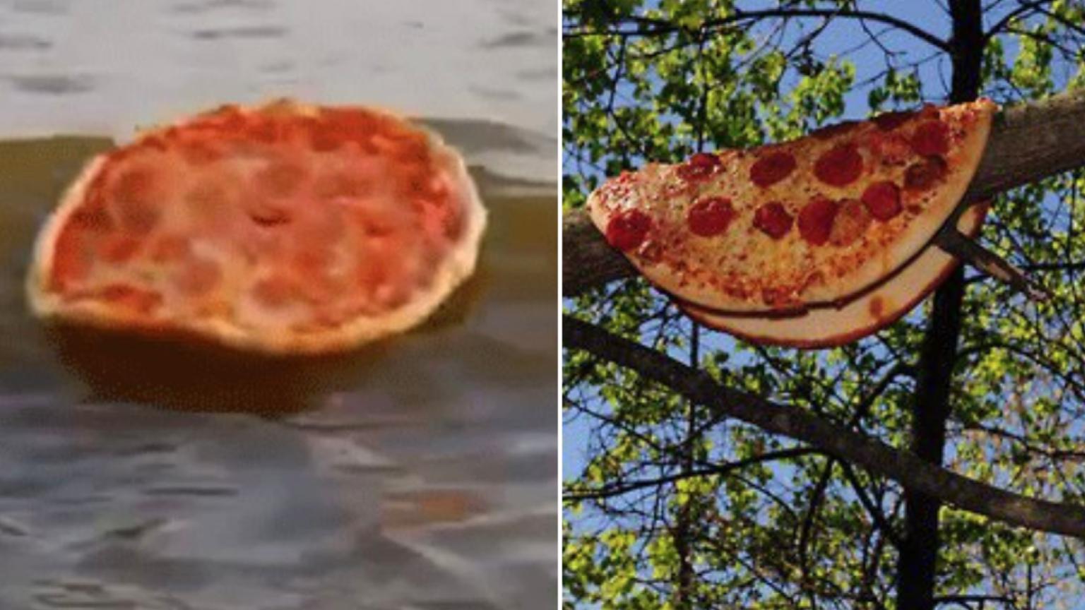 15 Memes Proving That Nature Is Healing In These Trying Times | Know ...