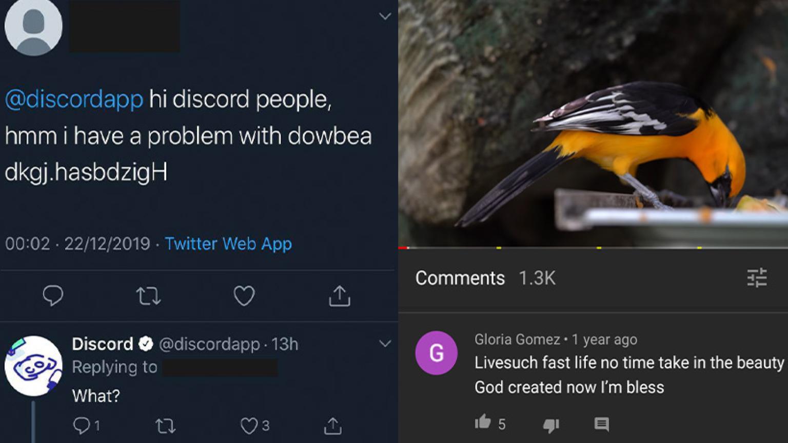 13 Humans Totally Malfunctioning | Know Your Meme