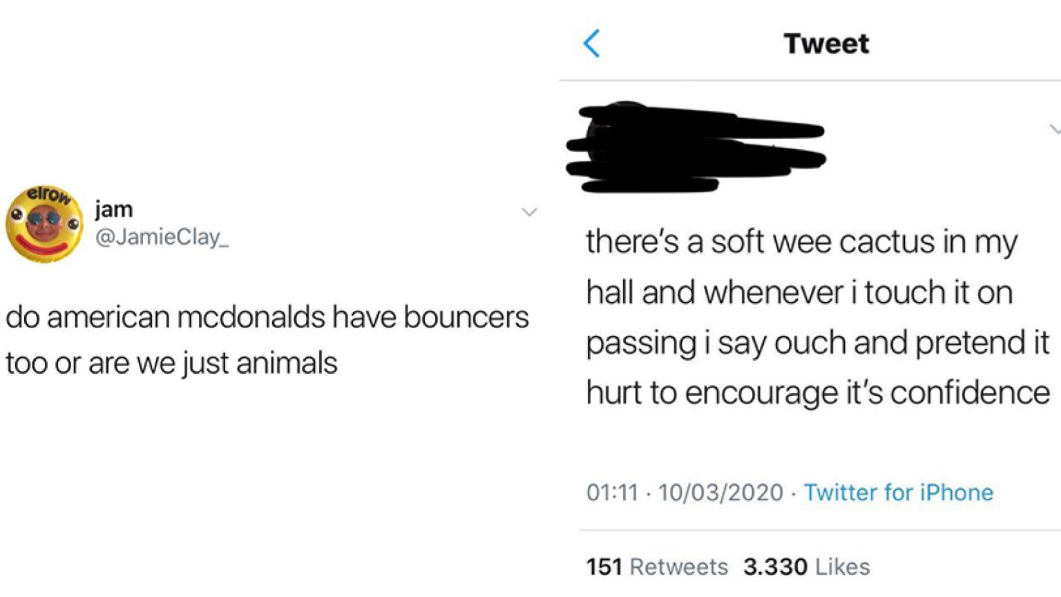 13 Scottish People Having A Wee Bit Of Fun On The Internet | Know Your Meme