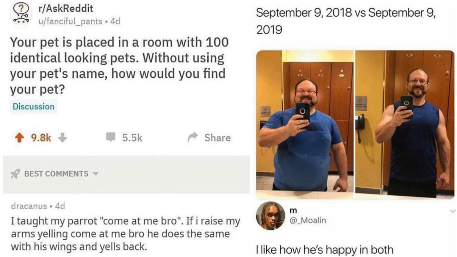 15 Of The Most Blessed Comments Ever Found Online | Know Your Meme