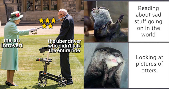 15 Of The Best Wholesome Memes From The Week | Know Your Meme