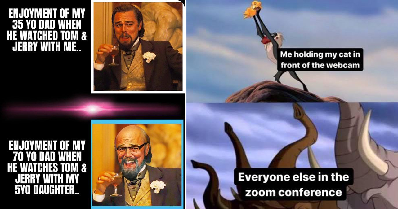 15 Of The Best Wholesome Memes From This Week | Know Your Meme