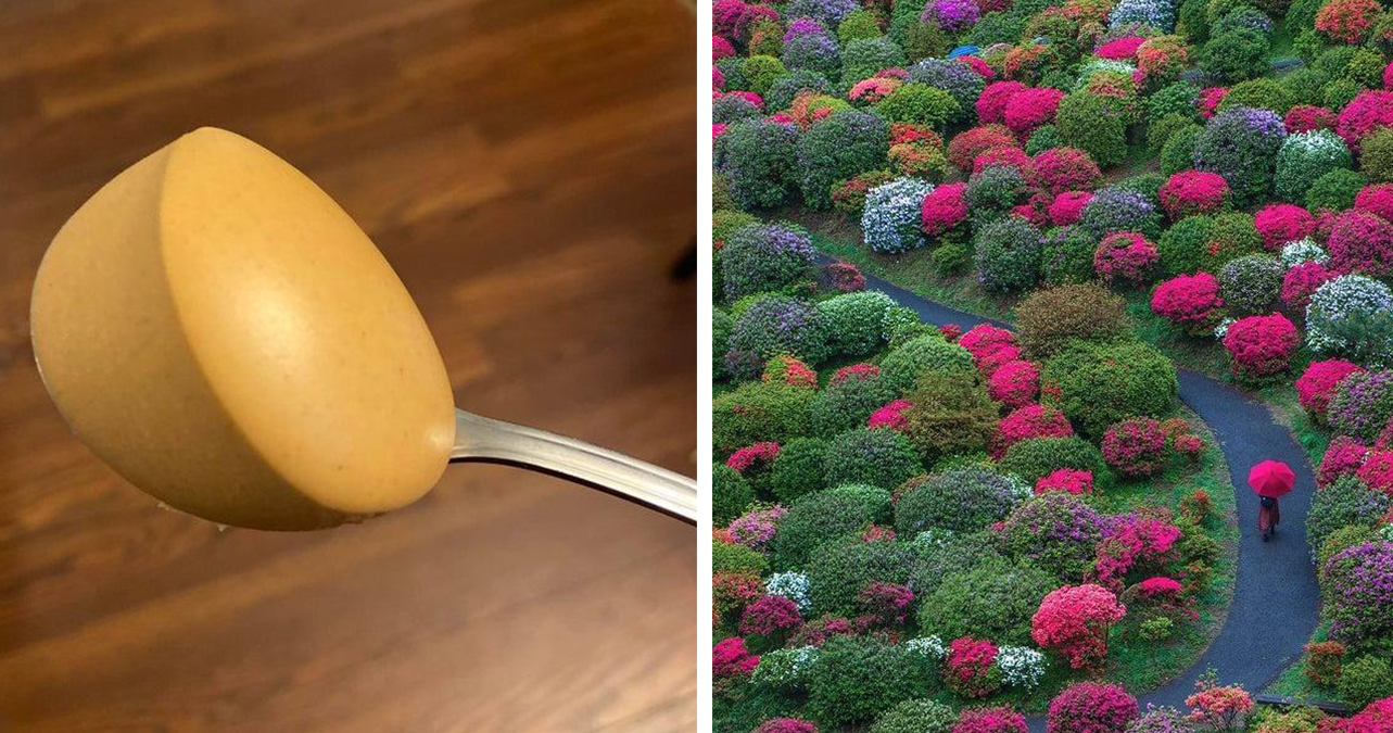 15 Immensely Satisfying Images To Reduce Some Stress | Know Your Meme