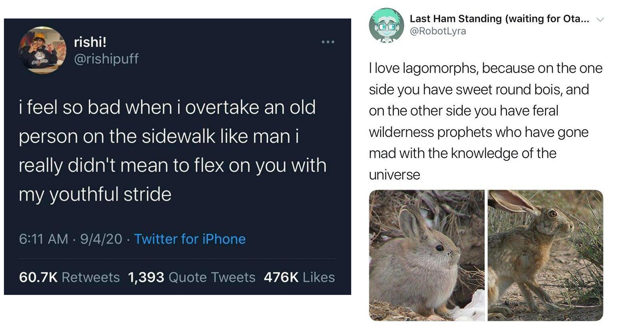 Nobody Is More Profound Than These 15 People | Know Your Meme