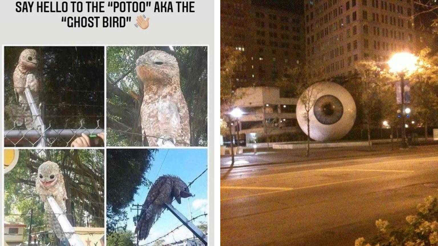 Apologies For These 12 Disarming Photos | Know Your Meme