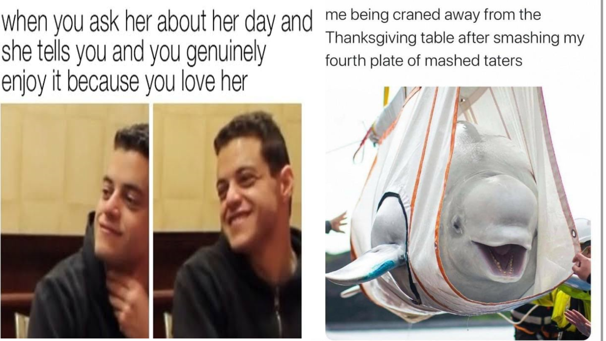 15 Of The Best Wholesome Memes From This Week | Know Your Meme