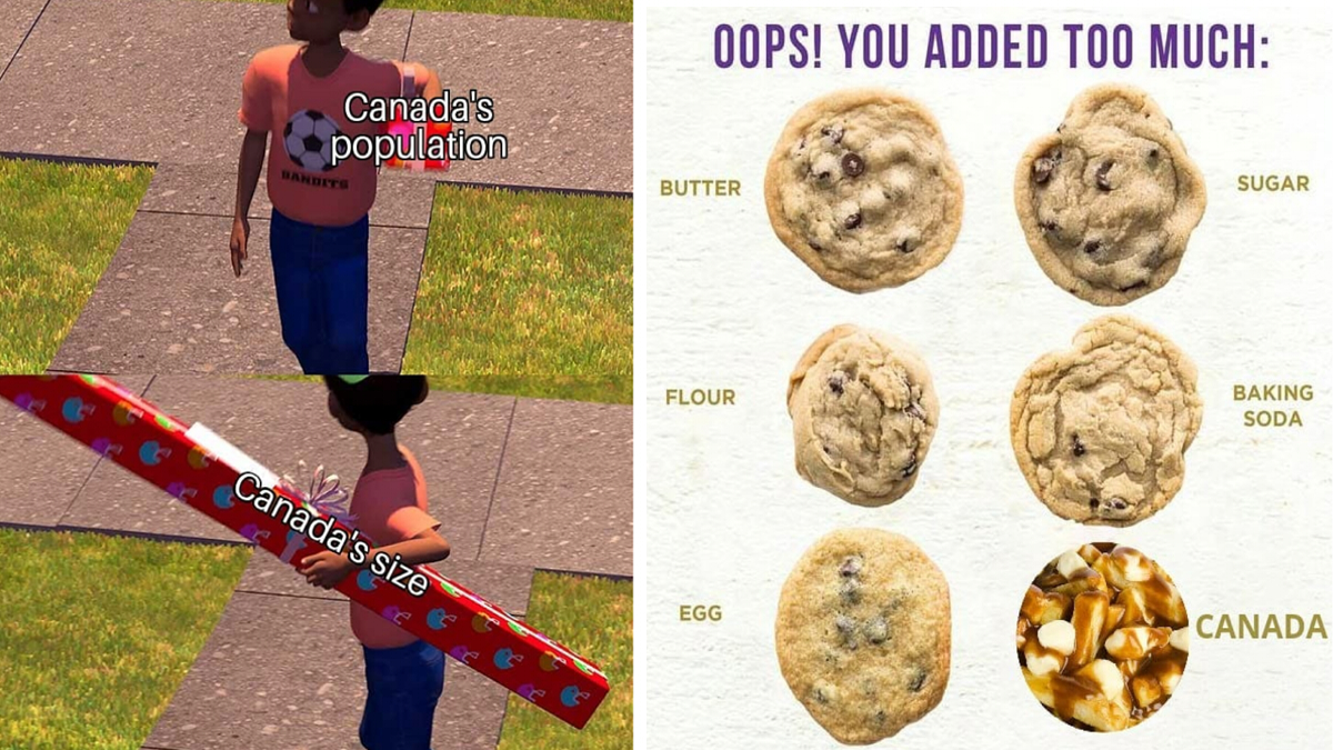 12 Canadian Memes To Take Your Mind Off The Debate | Know Your Meme