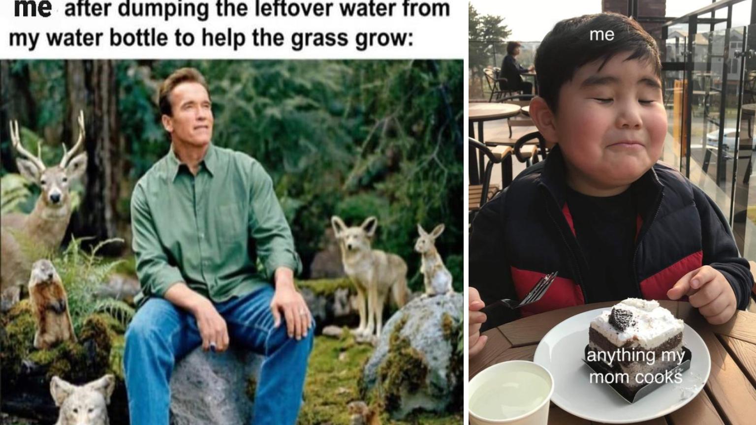 19 Amazingly Wholesome Memes To Keep Stress Away | Know Your Meme