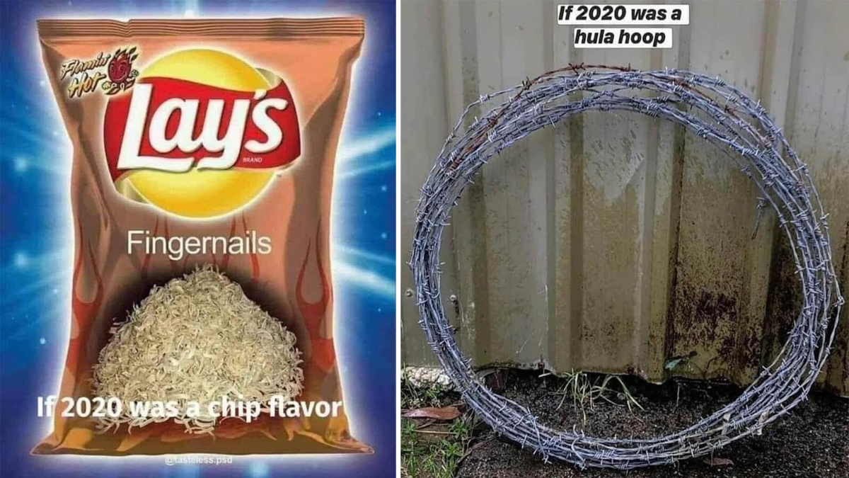 30 Images That Perfectly Capture The Misery And Torment Of 2020 | Know ...