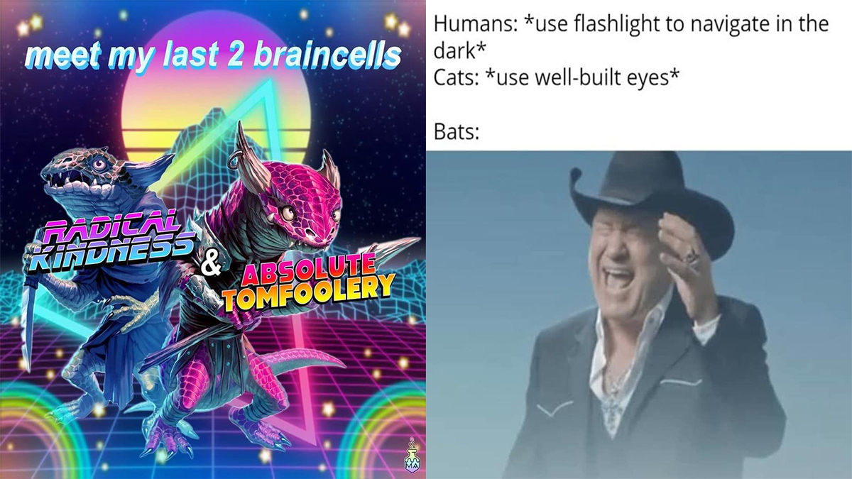 Know Your Meme: Internet Meme Database