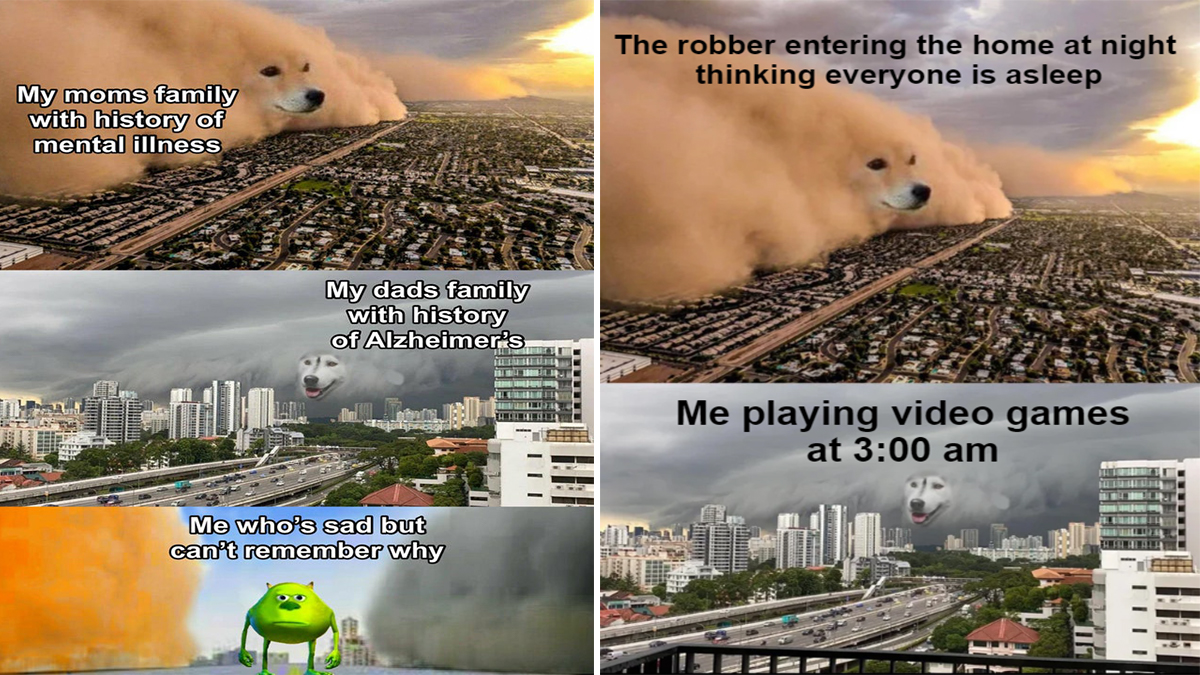 15 Clashing Storm Dog Memes That Hit A Little Too Close To Home | Know ...