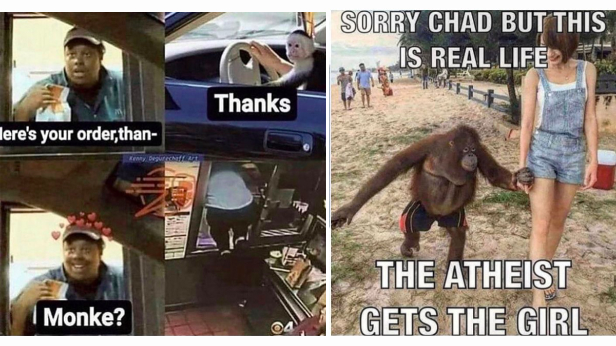 20 Memes That'll Make You Abandon Society And Return To Monke | Know ...